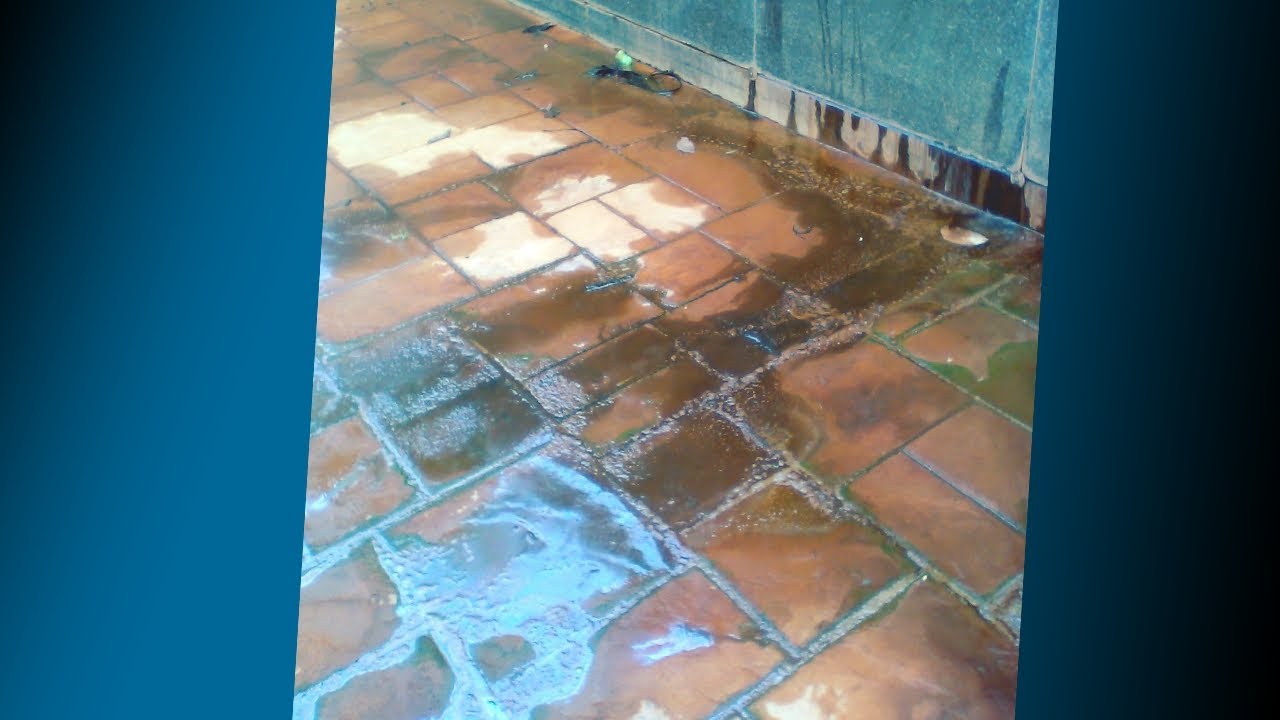 ‘An oozing coming out of a tomb’: Disturbing leak at mausoleum angers ...