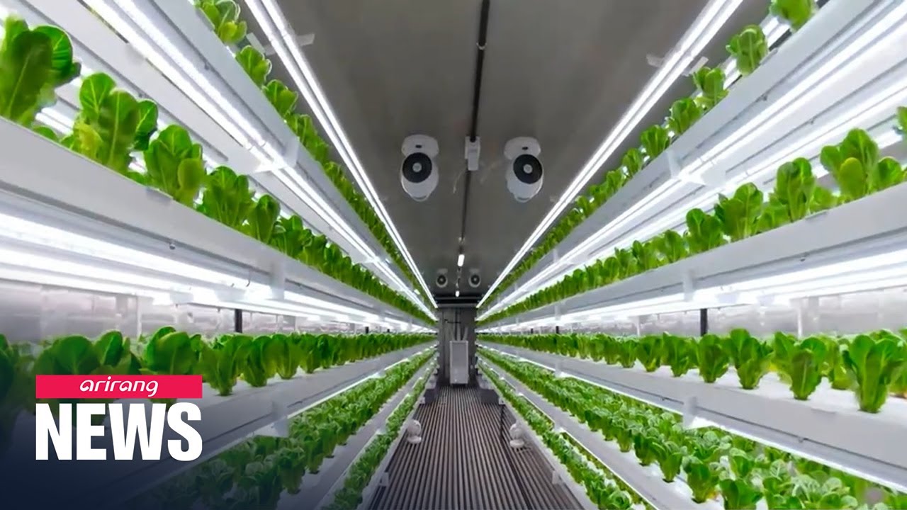 S. Korea’s indoor farming technology helps crop production in the ...