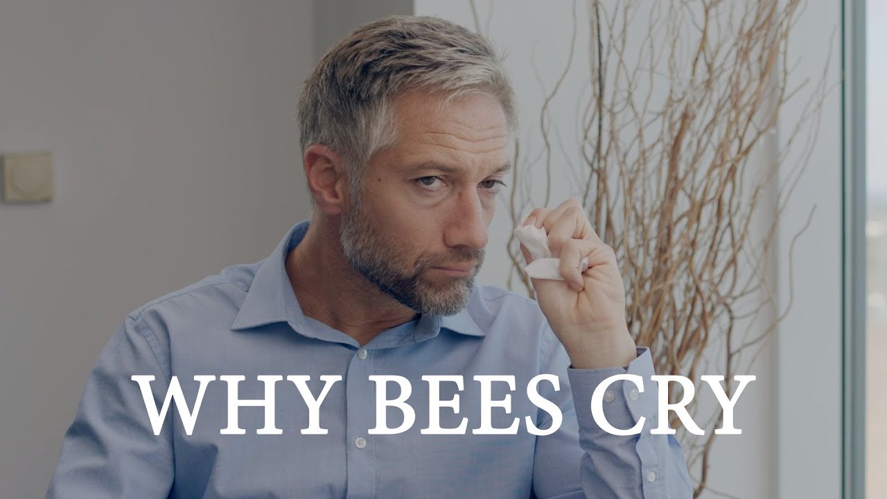 Why Bees Cry | A Short Film - YouTube