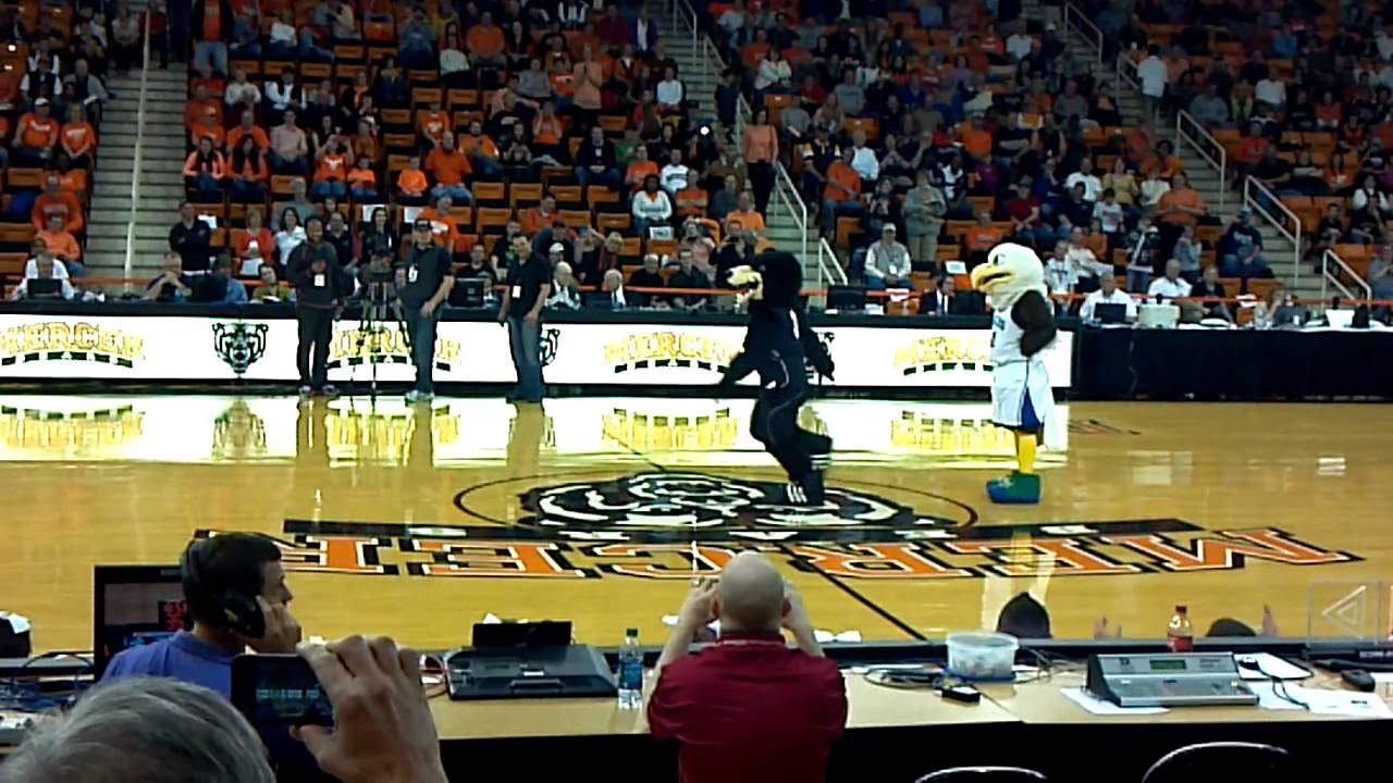 Mascot Dance-off Mercer Bear vs Florida Gulf Coast Eagle 3-9-13 - YouTube