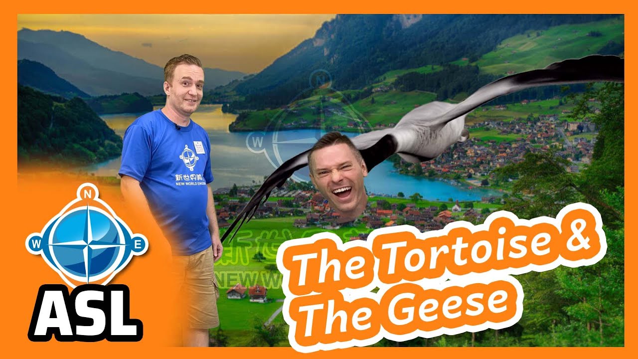 The Tortoise and the Geese ASL | American Sign Language for Kids | CC ...