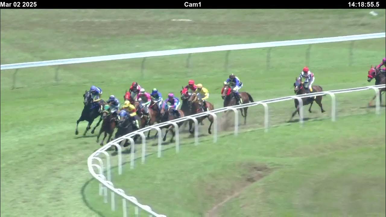 2025-03-02 (R04) - YouTube