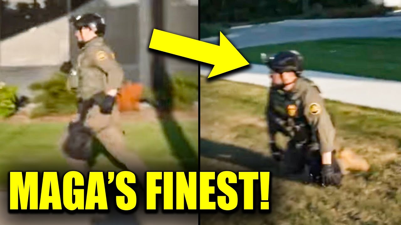 Trump's ICE Agents HUMILIATED After Falling Flat On Their Faces In ...