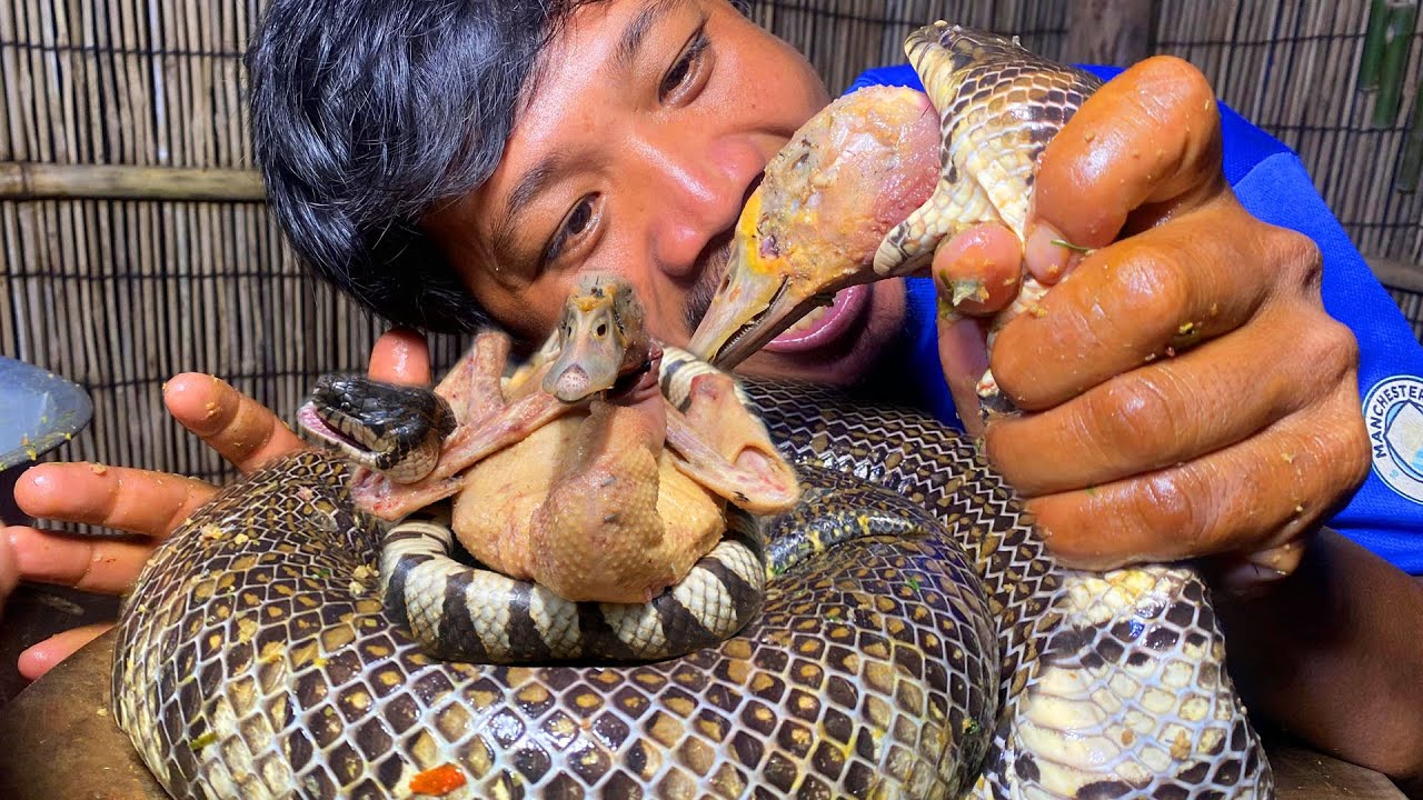 Cooking Big Snake With Duck ( Duck in Snake - YouTube