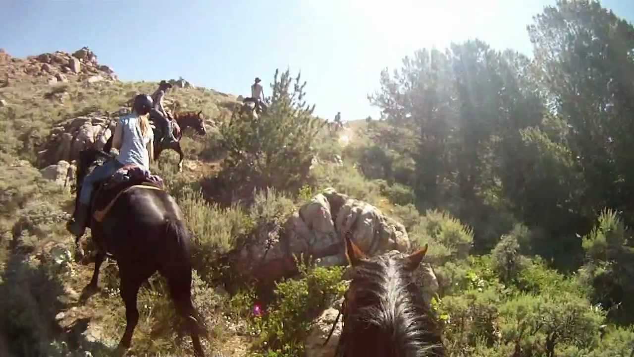 Bucking S Ranch 2011 Video - YouTube