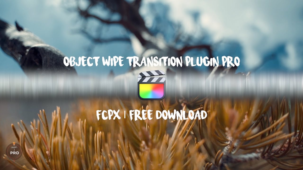 RN OBJECT WIPE TRANSITION PRO PLUGIN - FINAL CUT PRO X | DOWNLOAD FOR ...