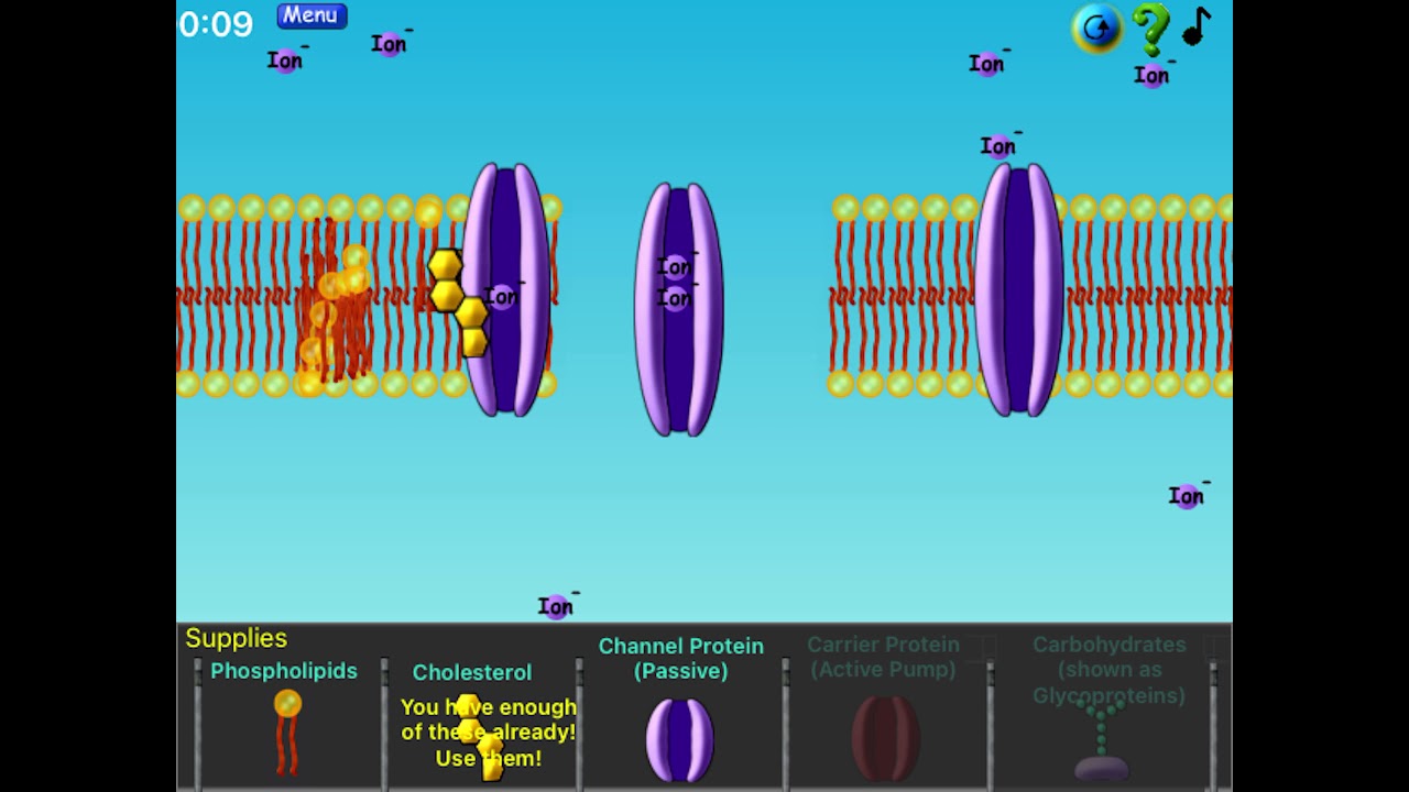 Cell Defense - Build a Membrane [1:08] WR - YouTube