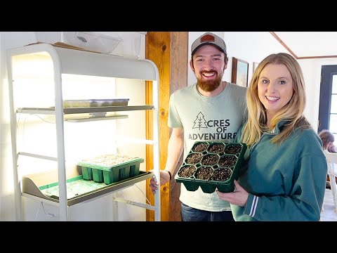 THIS Makes Starting Seeds SUPER EASY (Vego Garden Review)