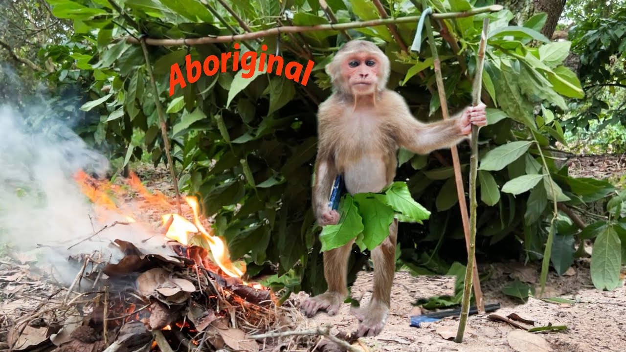 Cutis Back Primitive Be Aboriginal Survival Alone In Forest - YouTube