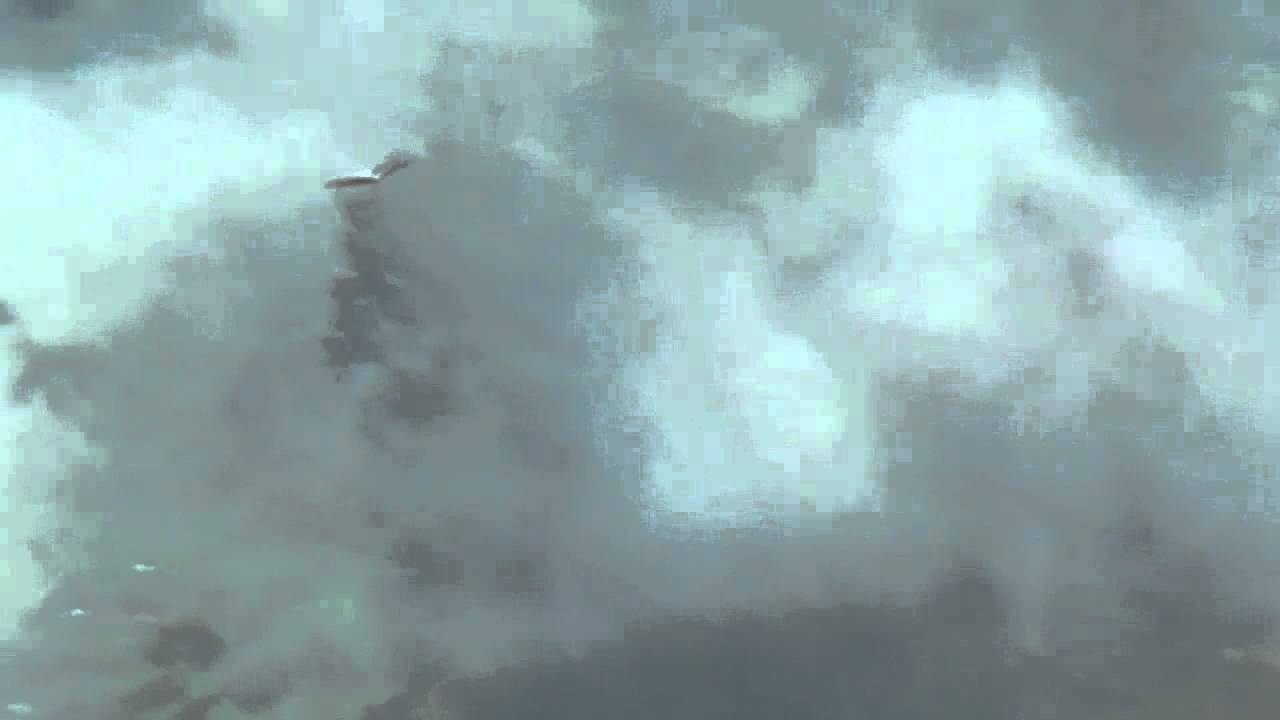 Black and white Hawk Eagle Spizaetus melanoleucus Elsteradler Aguila ...