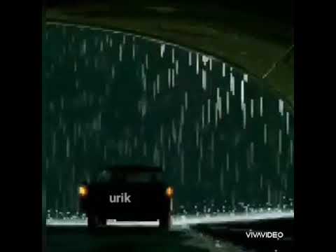 Cani cehenneme cehenneme 2020 supper ifa haminin axtradiqi