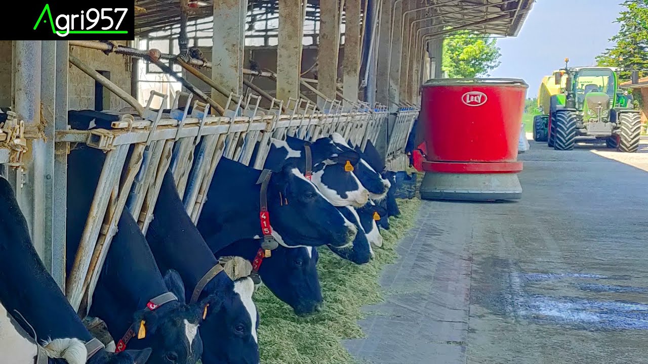 LELY VECTOR COWS AUTOMATIC FEEDING | PARMIGIANO REGGIANO ALIMENTAZIONE ...