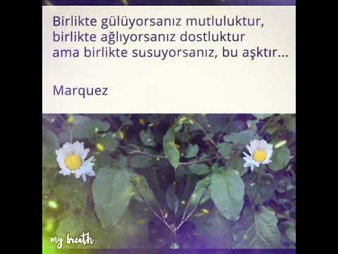 ❤wapshapp durum anlamli ve manali sözler ❤2022👉hangi şiir senden daha güzel olabilirki 👈