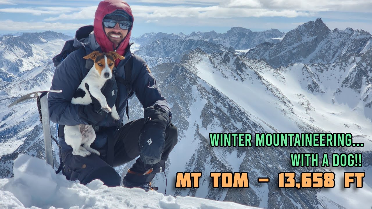 Mt. Tom Winter Camp and Summit - Van Life California - YouTube