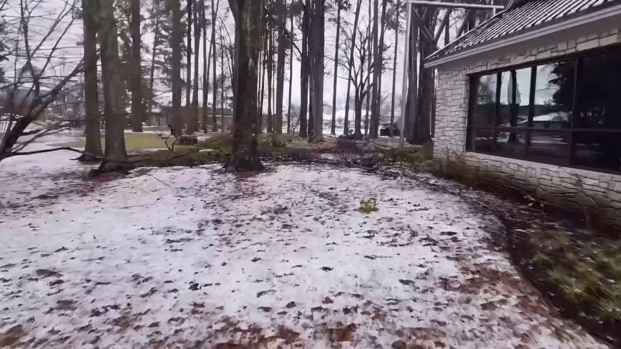 Genecov January 11th - YouTube