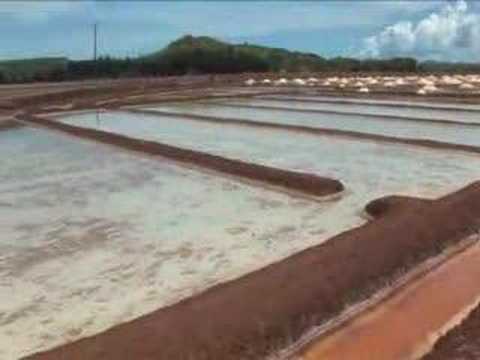 History Tomorrow ~ Salt Making - YouTube