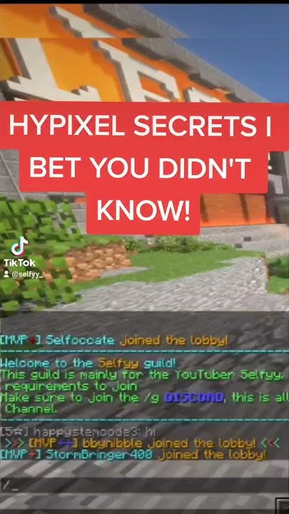hidden Hypixel commands you didn't know about! - YouTube