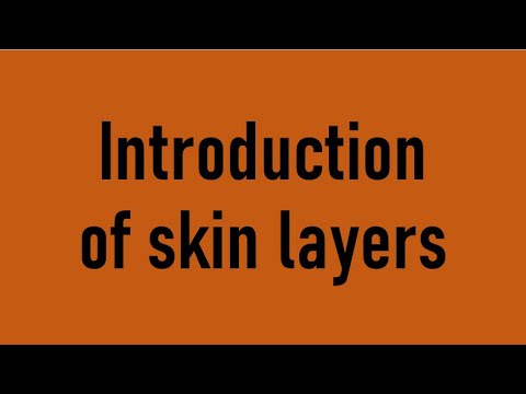 Introduction of skin layers | 3 layers of skin | epidermis layer of ...