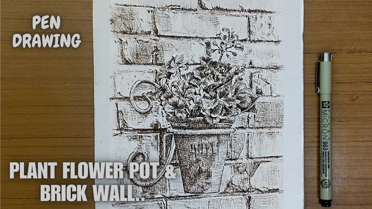 HOW TO DRAW BRICK WALL & PLANT FLOWER POT 🪴 WITH A SEPIA COLOUR PEN ...