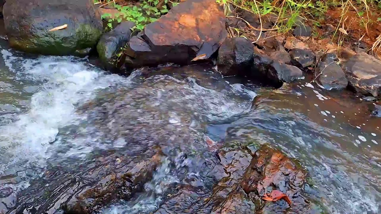 Bubbling Stream Flowing Sounds and Birds Chirping For Stress Relief and ...