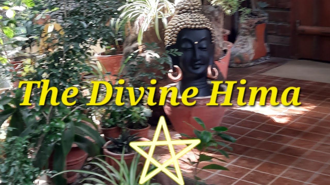 The Divine Hima- beautiful restaurant and bar #weekendgetaway # ...