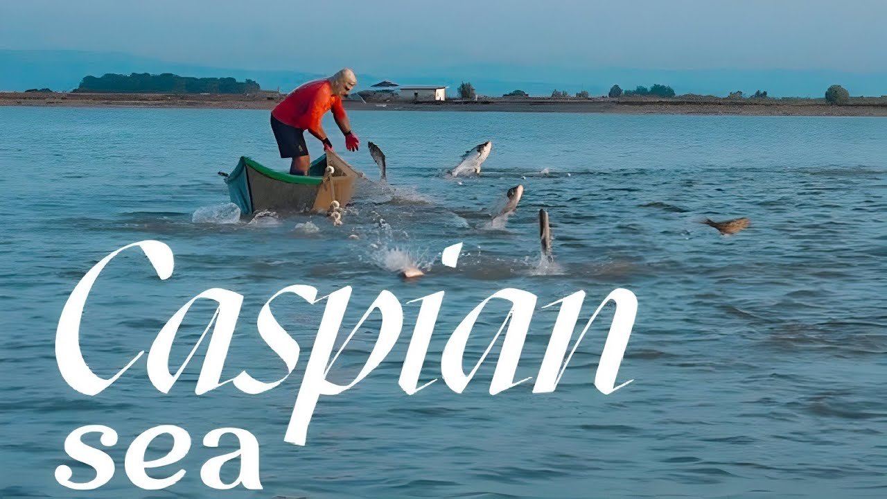 Caspian Sea | Strange fish from the hands of the fisherman - fishing ...