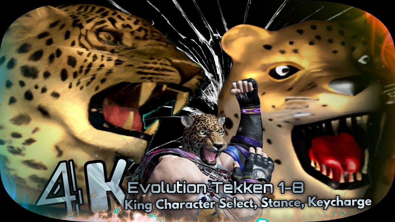 King Character Select Stance Keycharge Evolution Tekken 1-8 4K 60 FPS ...