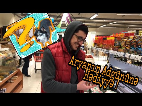 Aryanın Adgünü )) .! İt Üçün Ən Gözəl Hədiyyə .!(ASMR) #xaski #husky #baki #trend