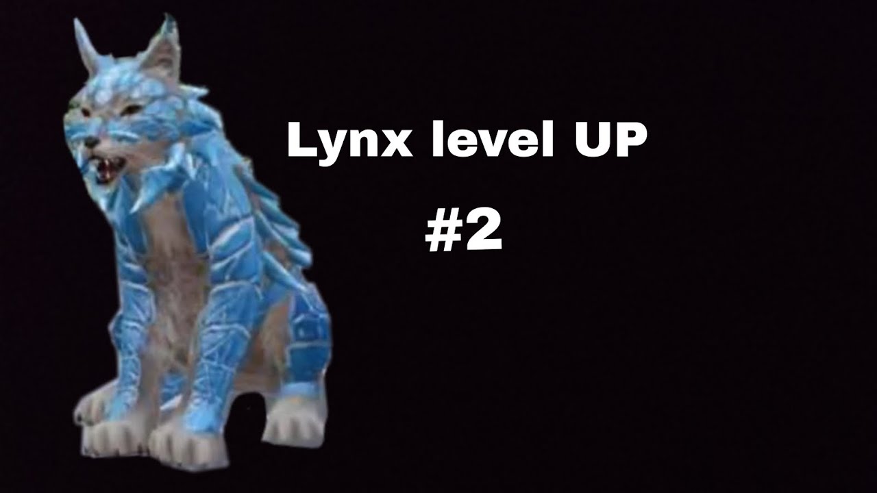 Lynx level UP #2 - YouTube