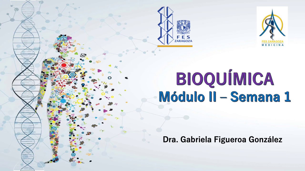 Semana 1 - Módulo II - Bioquímica - YouTube