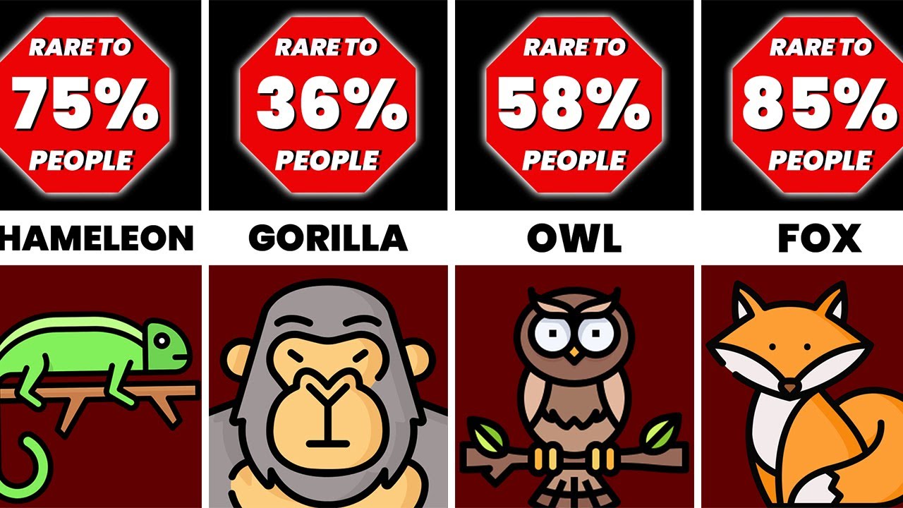Comparison Animal Habits (RAREST) - YouTube