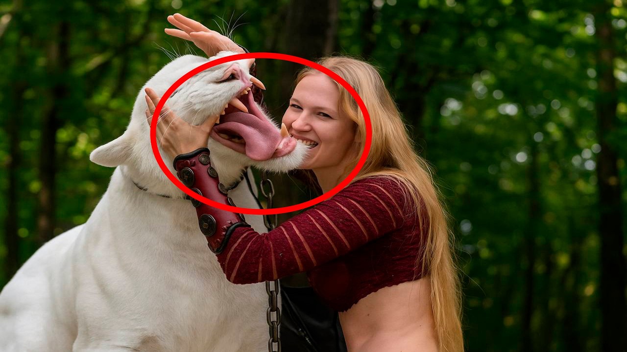 Damn Nature You Scary | Rare & Scary Animal Encounters 😱 #20 - YouTube