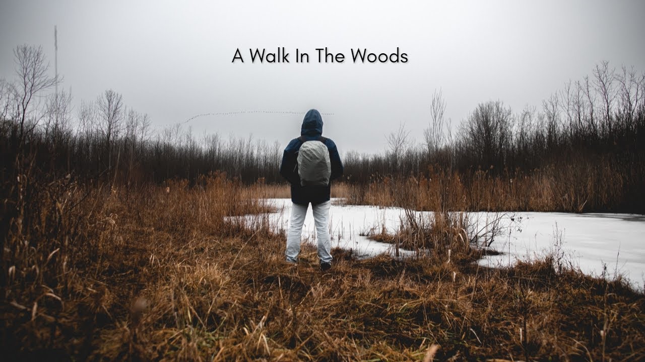 A Walk In The Woods - my first cinematic short - YouTube