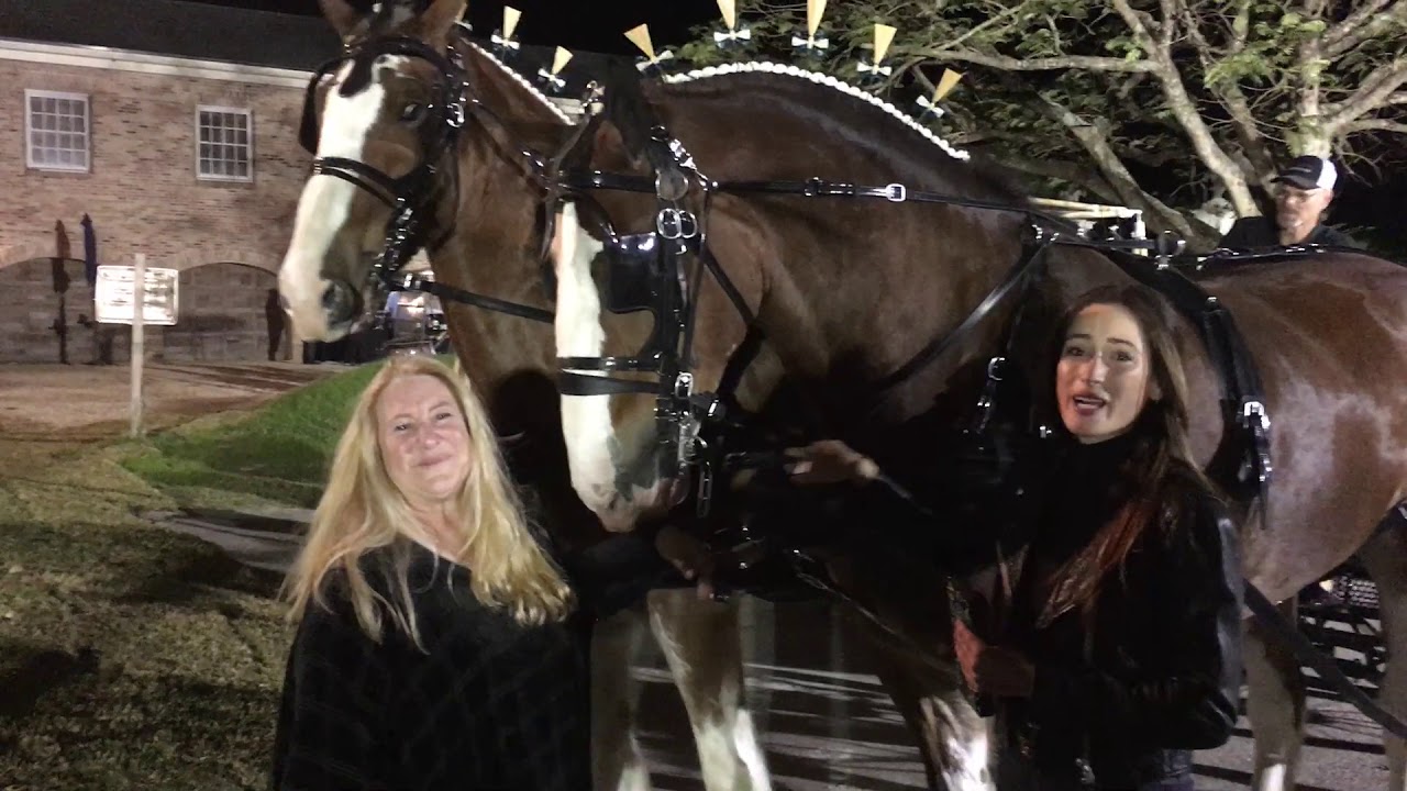 Jessica Springsteen & Victoria McCullough "Clydesdale Thunder" - YouTube