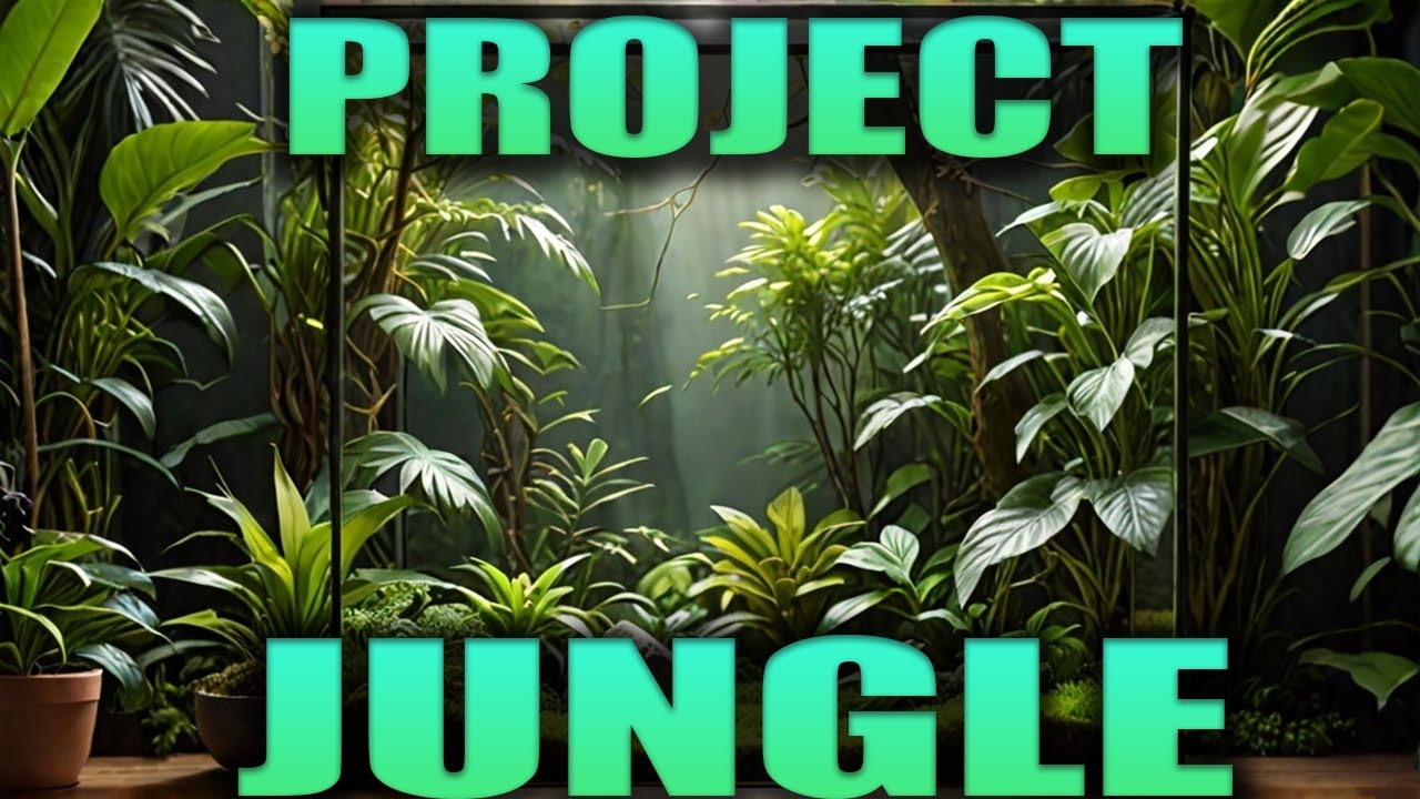 Welcome To Project Jungle - YouTube