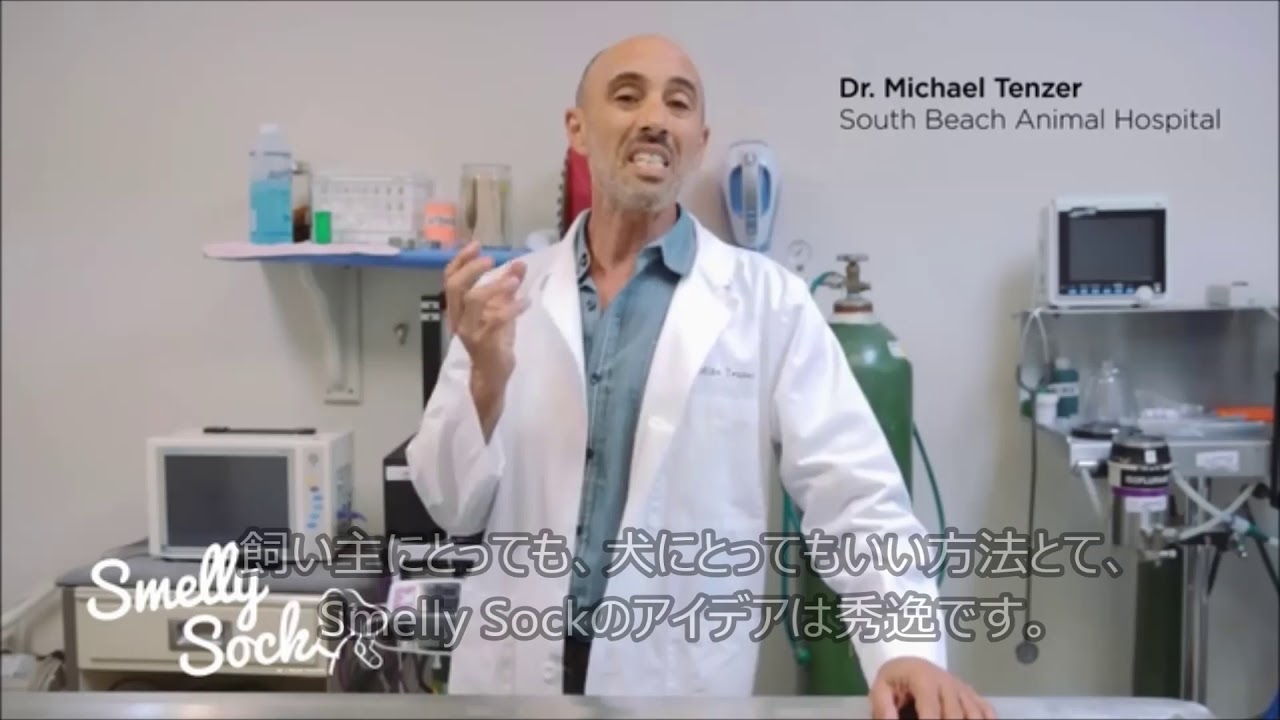【ガジェット】飼い主の匂いがするおもちゃ！？【Smelly Sock Dr Michael Tenzer】 - YouTube