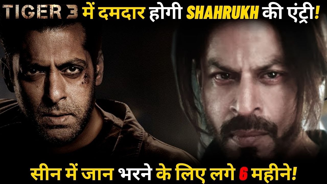 SRK cameo scene with Salman in tiger 3 has taken six months of planning ...