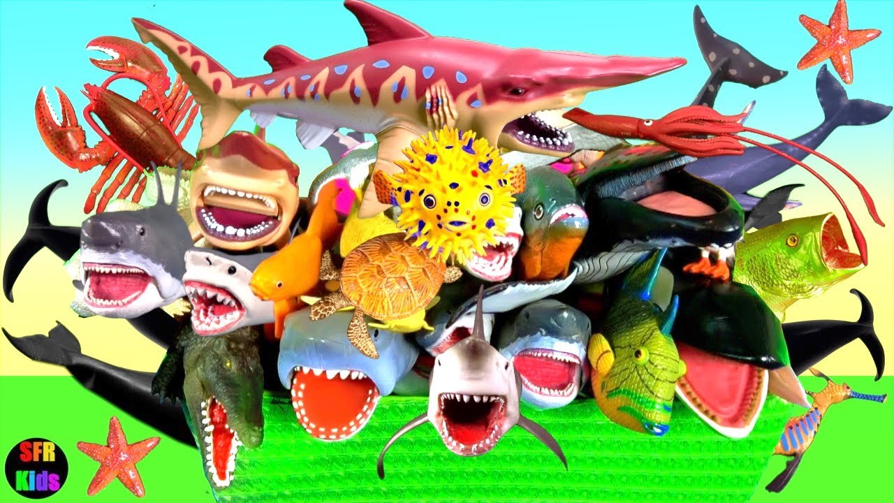 Sea Animals - Sharks, Whales, Fish, Shellfish, Cephalopods, Crustaceans ...