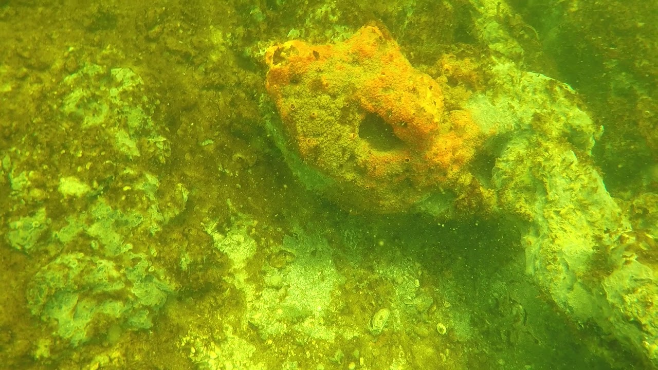 Wiggins Pass Reef structure 09/02/2018 - YouTube