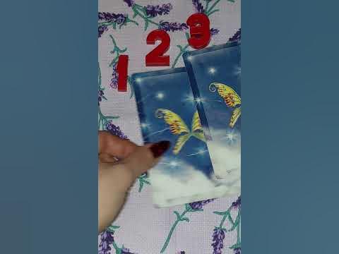 🎁 подарки Фей - YouTube
