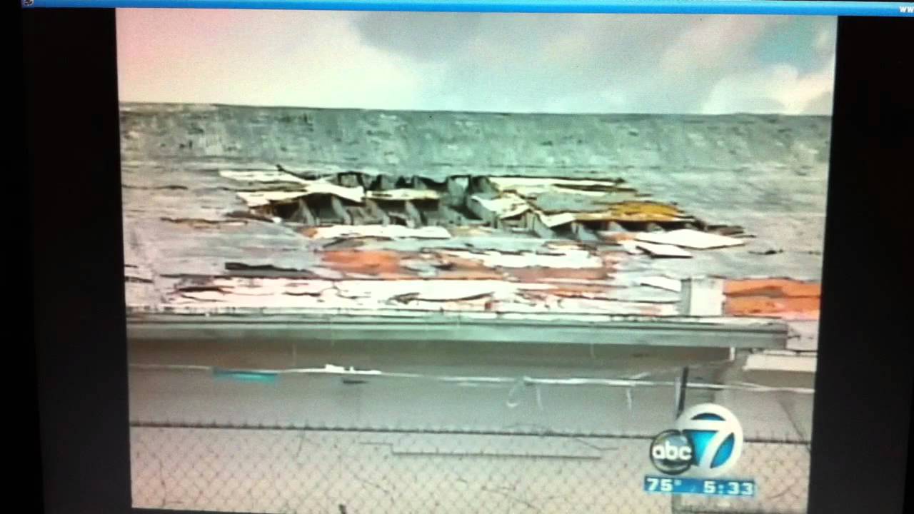 MANUEL REBECCHI CIRQUE AQUATIC PER SALVARE L'ARENA RINGLING IN VENICE ...