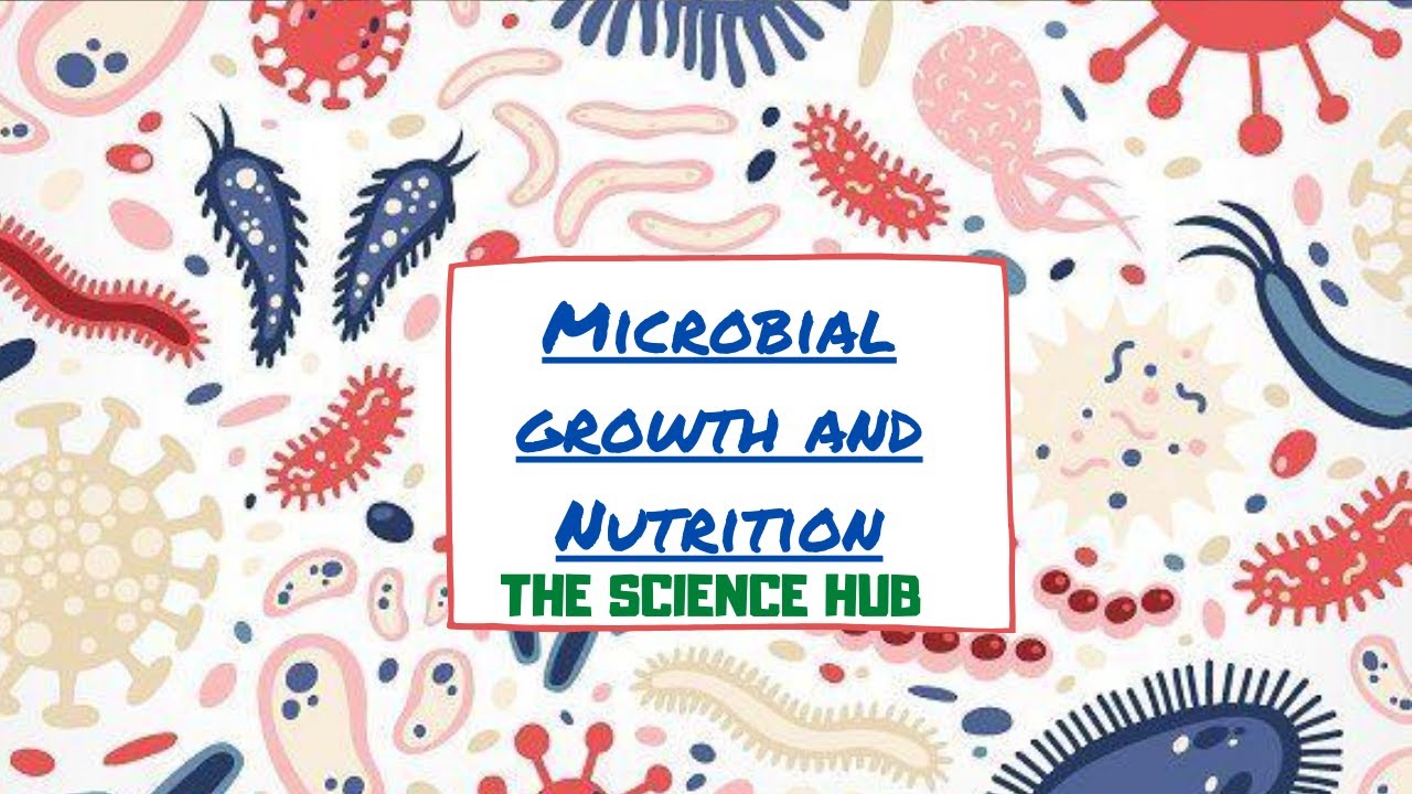 Microbial Growth and Nutrition | THE SCIENCE HUB - YouTube