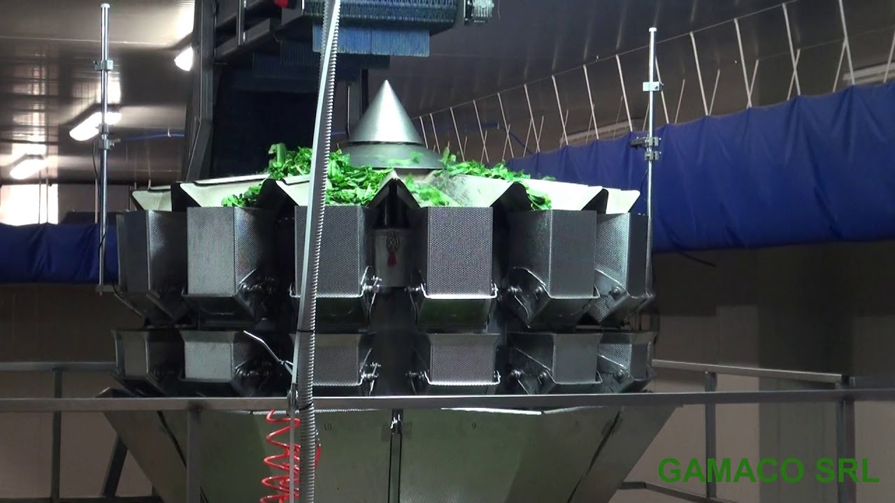 GAMACO - CONFEZIONAMENTO PER INSALATE SFALCIATE/BABY LEAVES PACKAGING ...