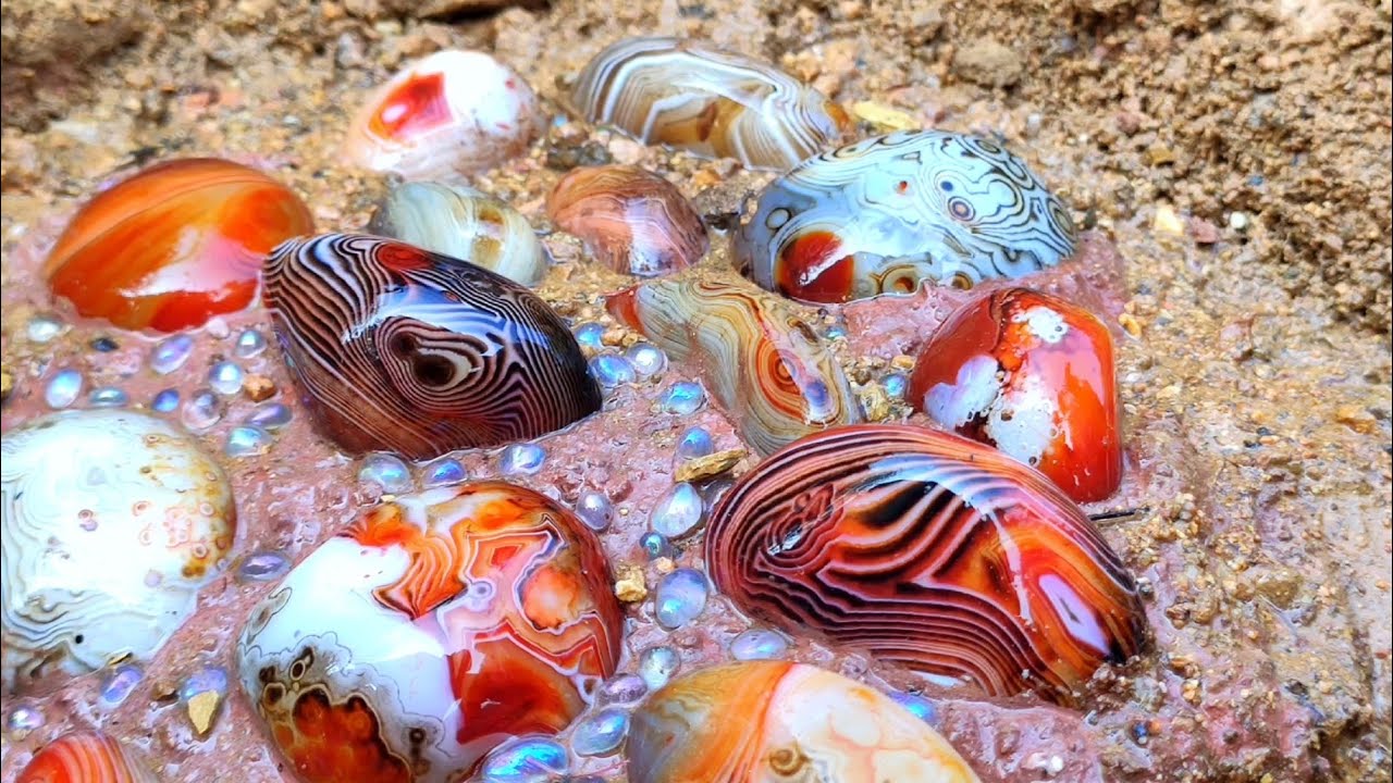 More and more gemstones are being discovered. Ancient dinosaur egg ...