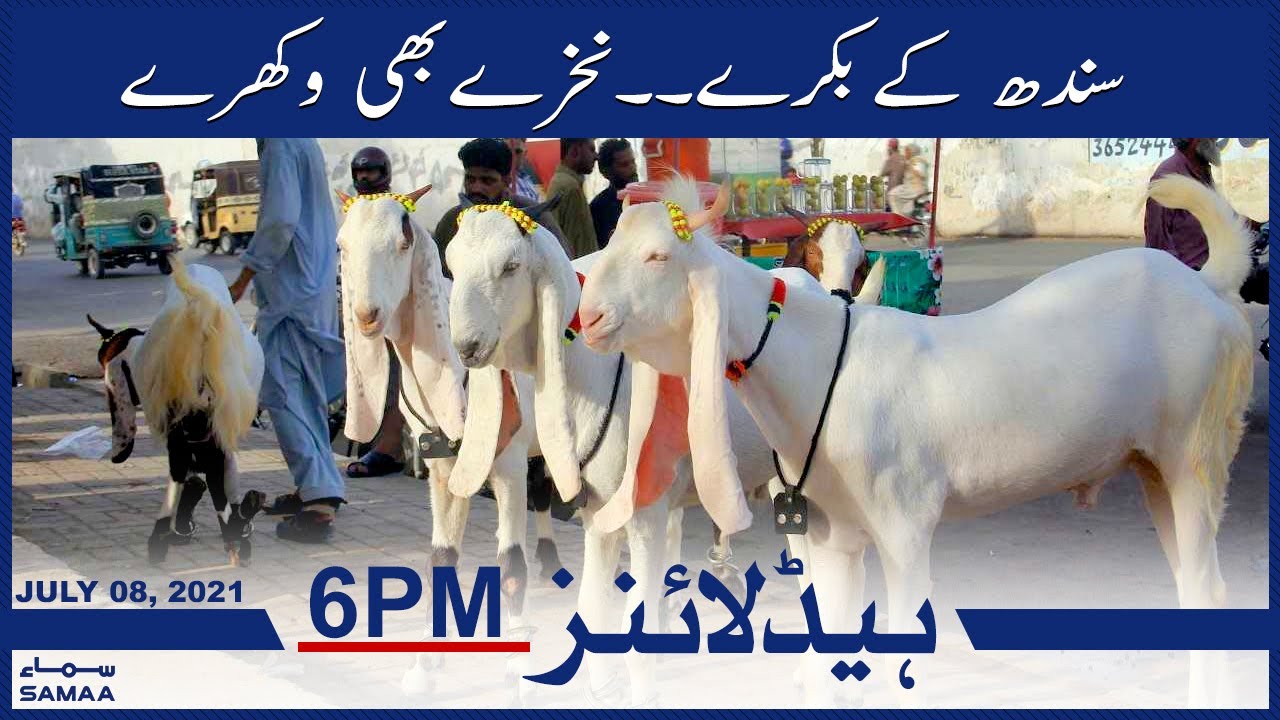 Samaa News Headlines 6pm | Sindh kay bakray, nakhray bhi wakhray ...