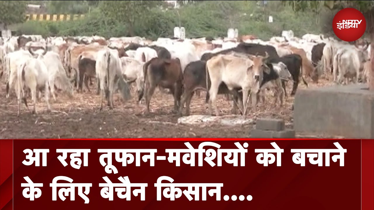 Biparjoy Cyclone Updates: Jakhau Port बंद, केवल NDRF को Entry की इजाजत ...