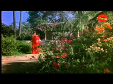 Non Stop Songs | Malayalam Movie Songs | Akkacheede Kunjuvava (1985 ...