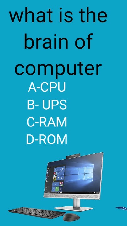 what is the brain of computer # short # computer - YouTube