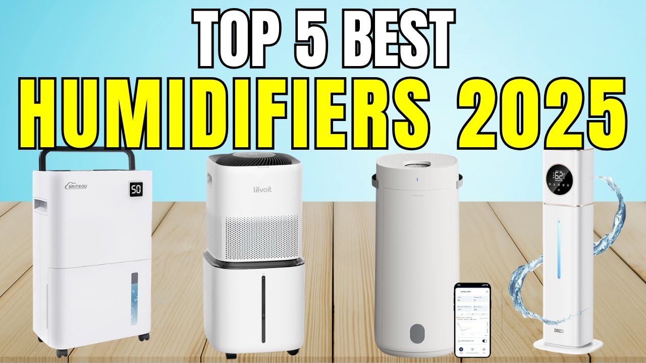Top 5 Best Humidifiers – Must Watch Before You Buy One! - YouTube