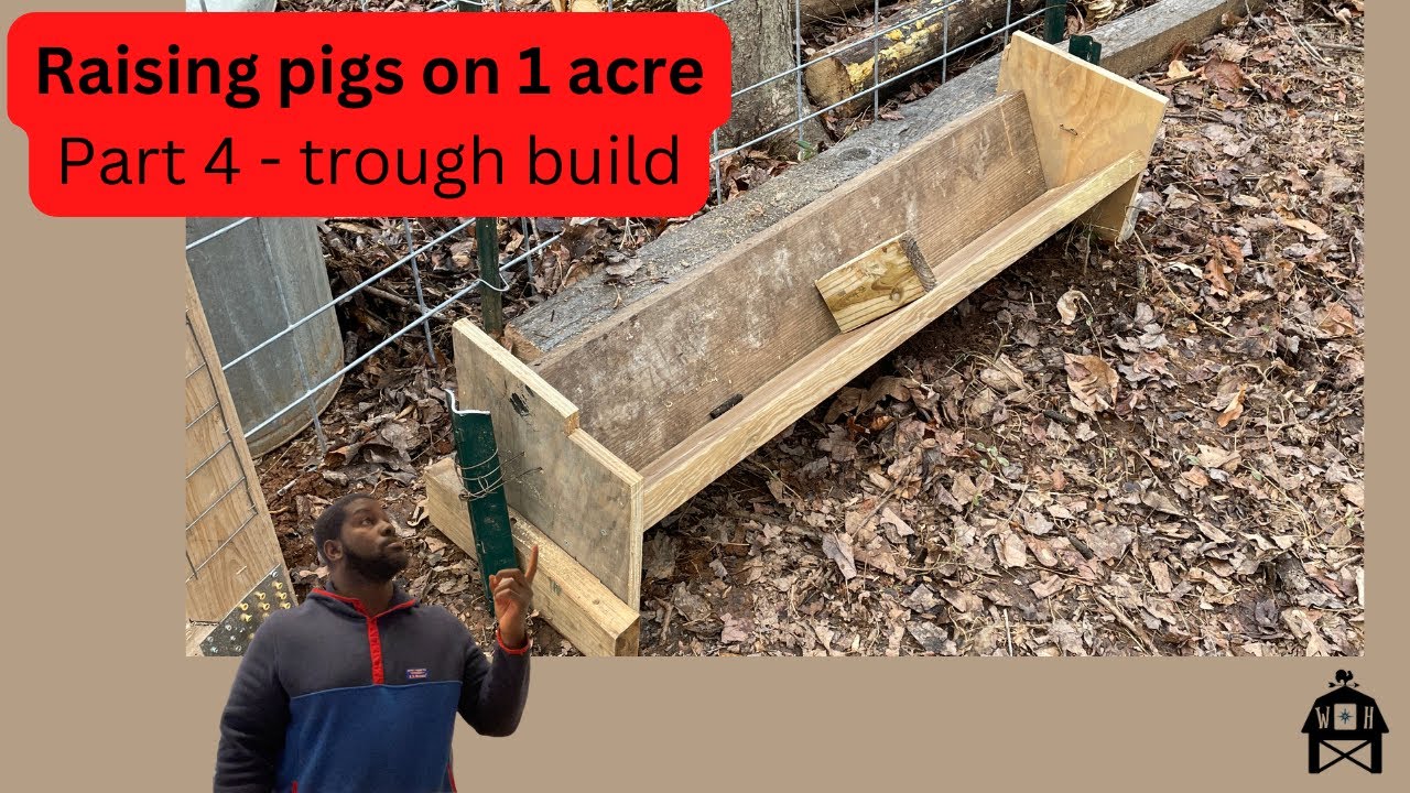 Raising Pigs on a 1acre homestead- Part 4 : How to build a pig trough # ...
